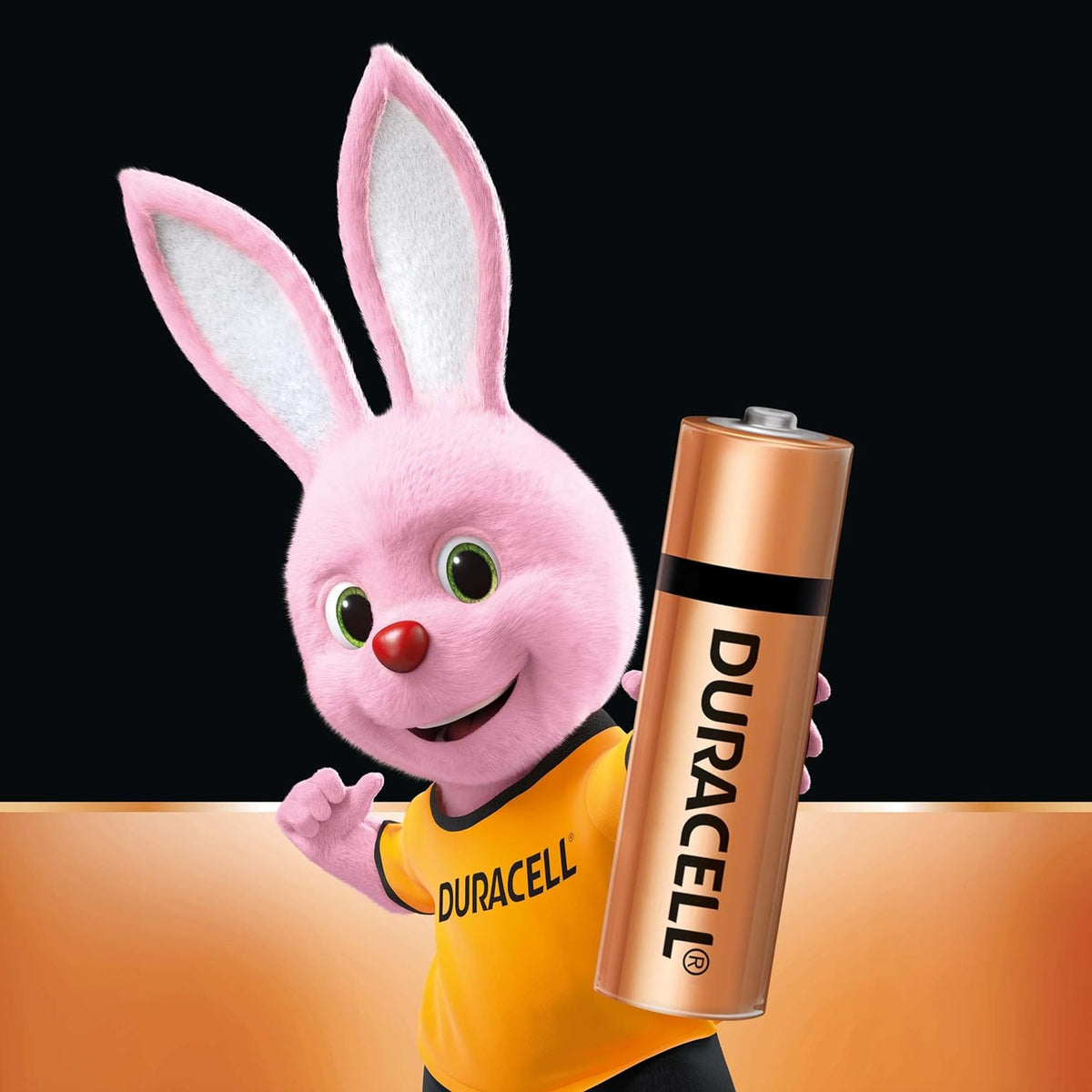 AA Cells/Batteries