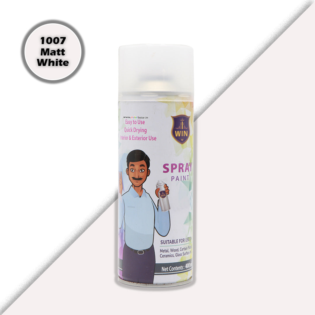 IWIN: Spray Paint Bottle - 400ml/275gms